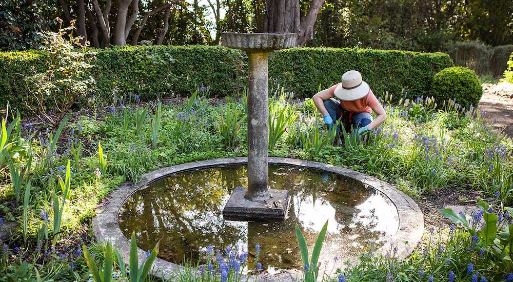 Blake Garden - UC Berkeley College of Environmental Design